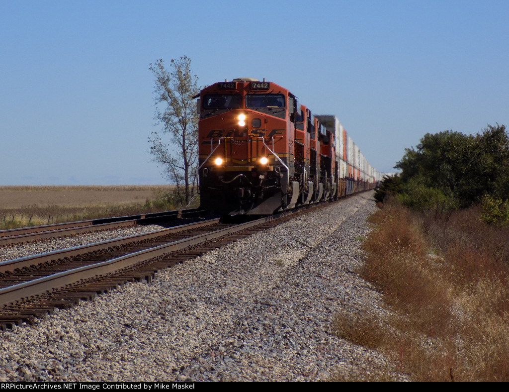 BNSF 7442